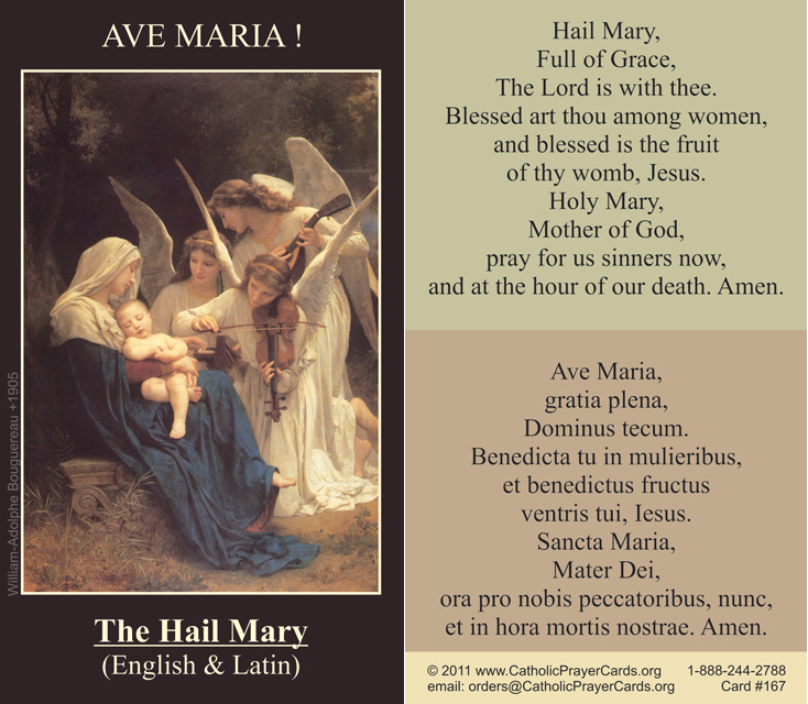 BILINGUAL - Hail Mary Prayer Card (Latin/English) – Catholic Book ...
