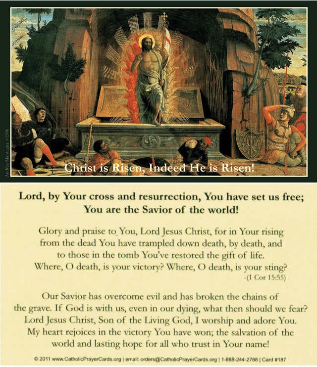 Easter Prayer Card/Christ is Risen – Catholic Book & Gift Store