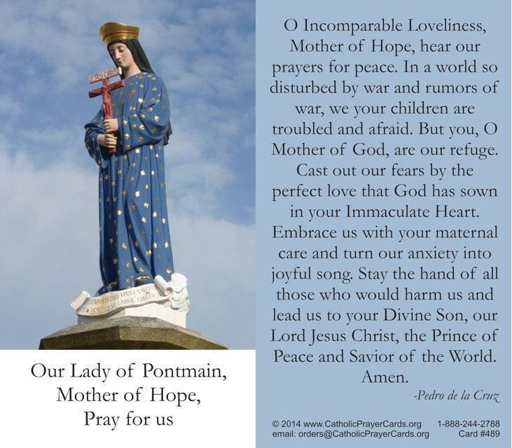 Our Lady of Pontmain, Mother of Hope Prayer Card – Catholic Book & Gift ...