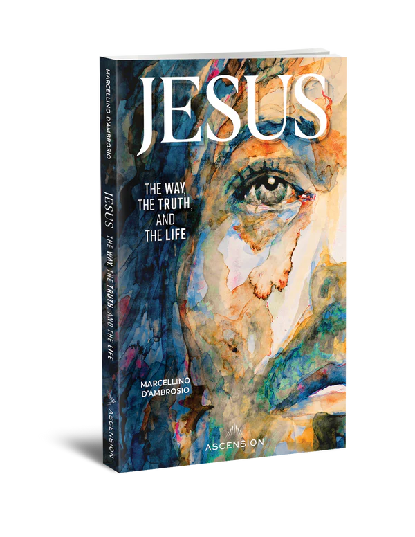Jesus: The Way, the Truth, and the Life Book – Catholic Book & Gift Store