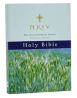 New Revised Standard Version (NRSV) Catholic Edition – Catholic Book ...
